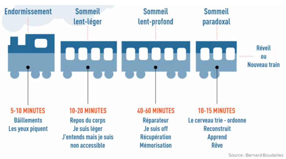 Le sommeil...À quoi ca sert? — MOMENTUM Ergothérapie