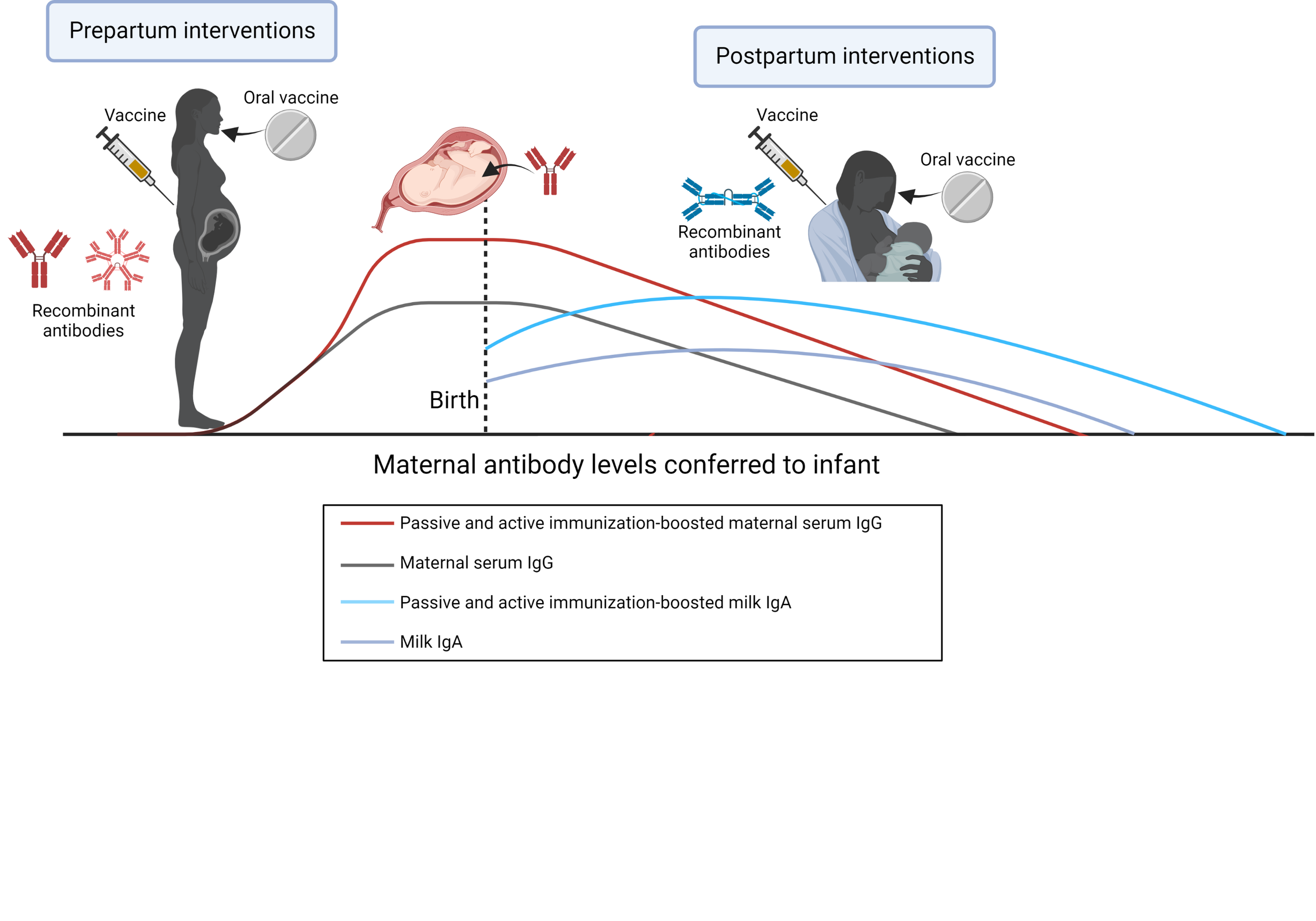 Maternal immunization and lactogenic immunity — The Langel Research Team