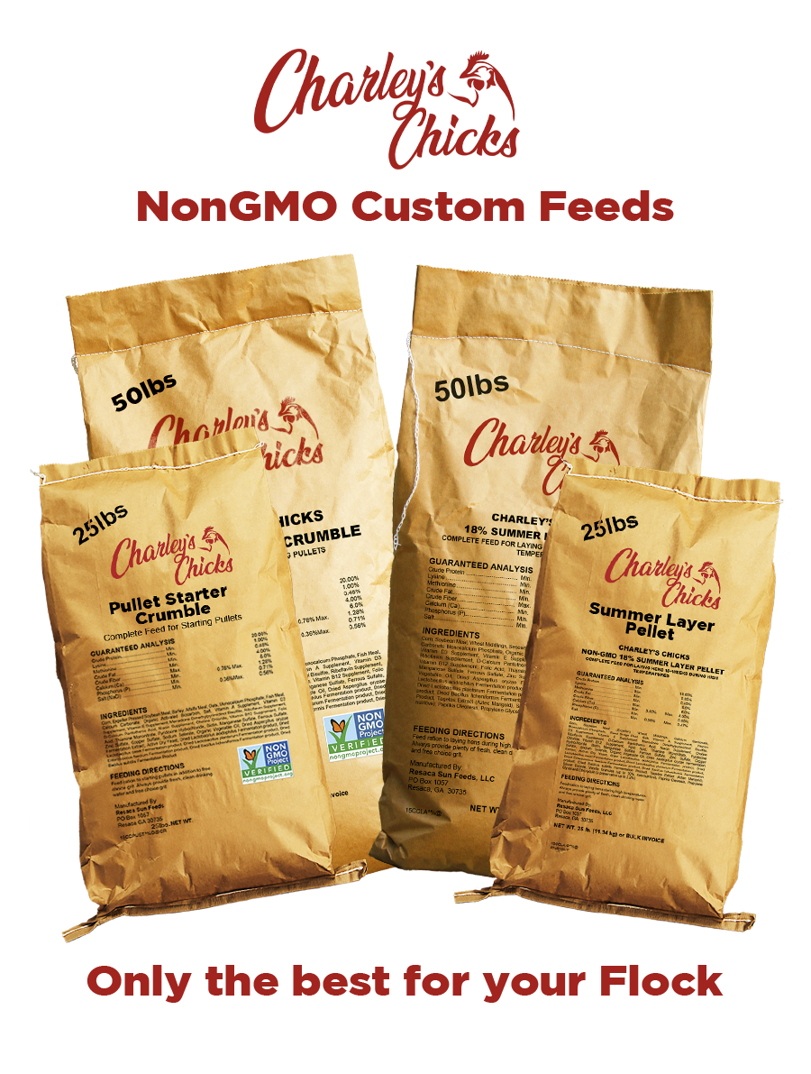 Current Availability — Charley's Chicks