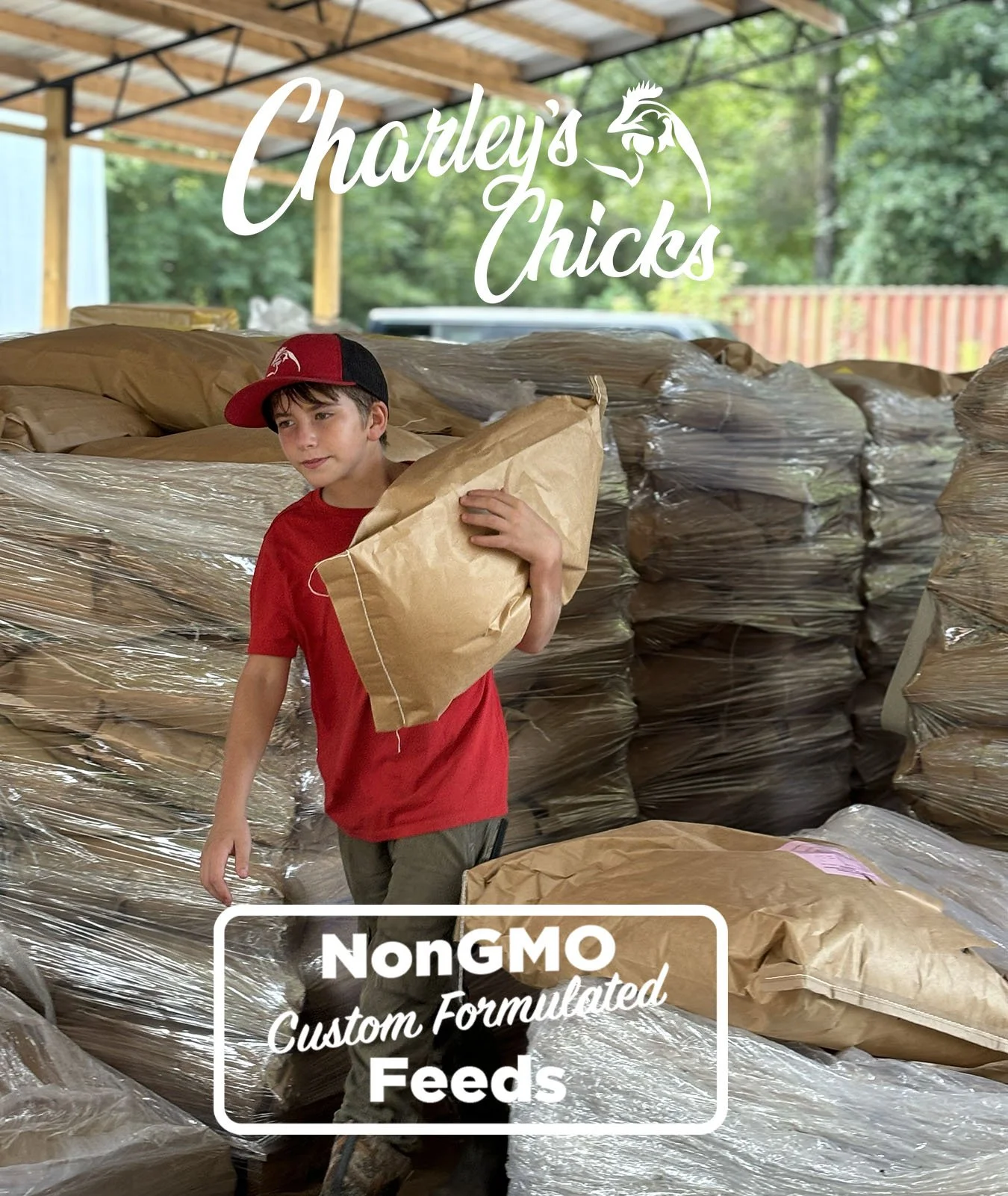 Current Availability — Charley's Chicks