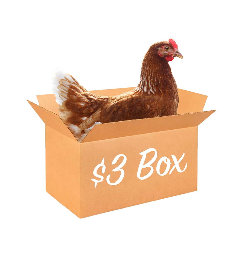 Current Availability — Charley's Chicks