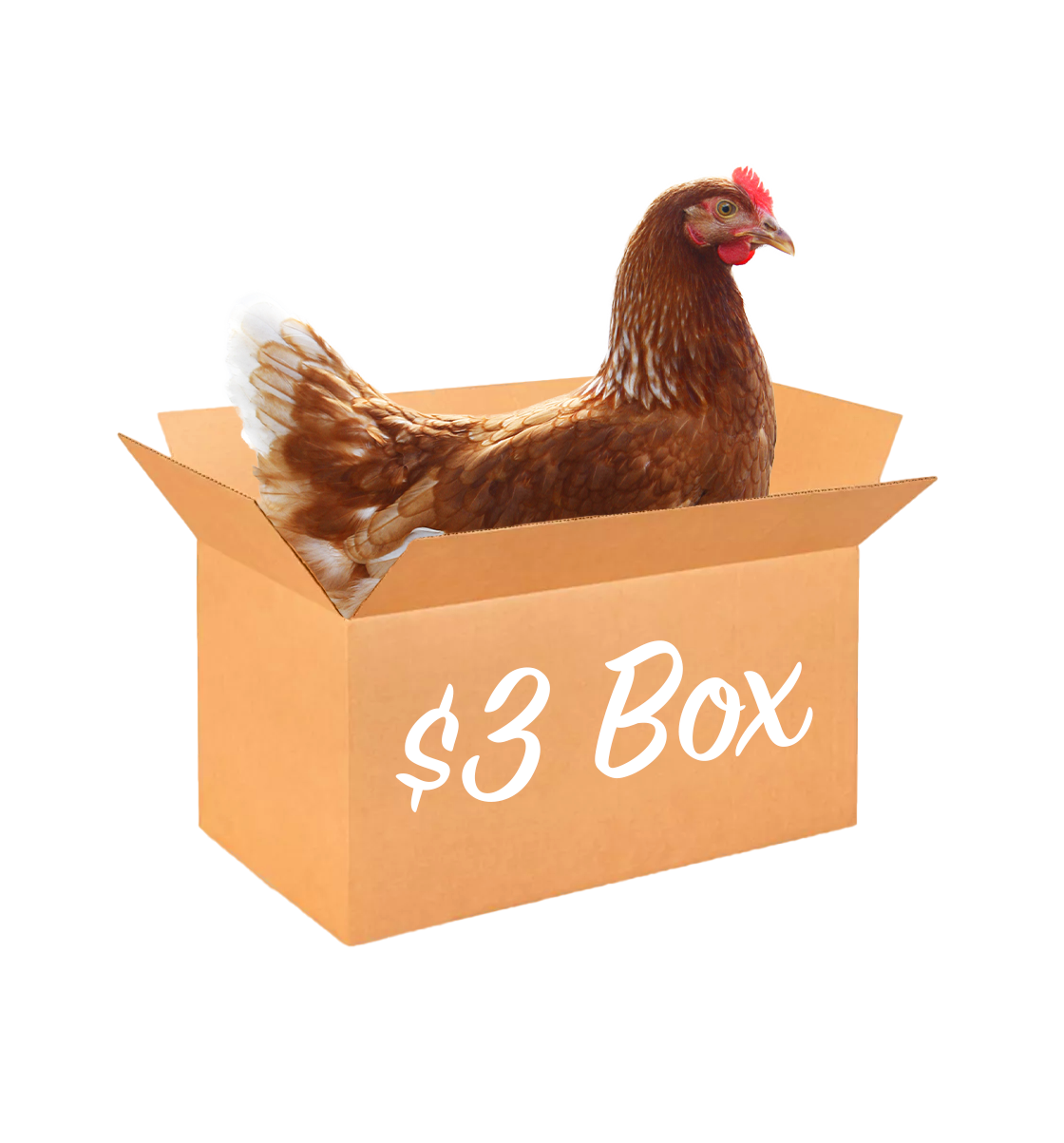 Current Availability — Charley's Chicks