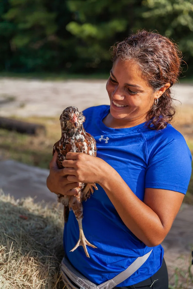 About — Charley's Chicks