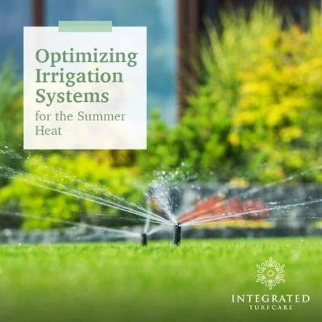 Optimizing Irrigation Systems for the Summer Heat