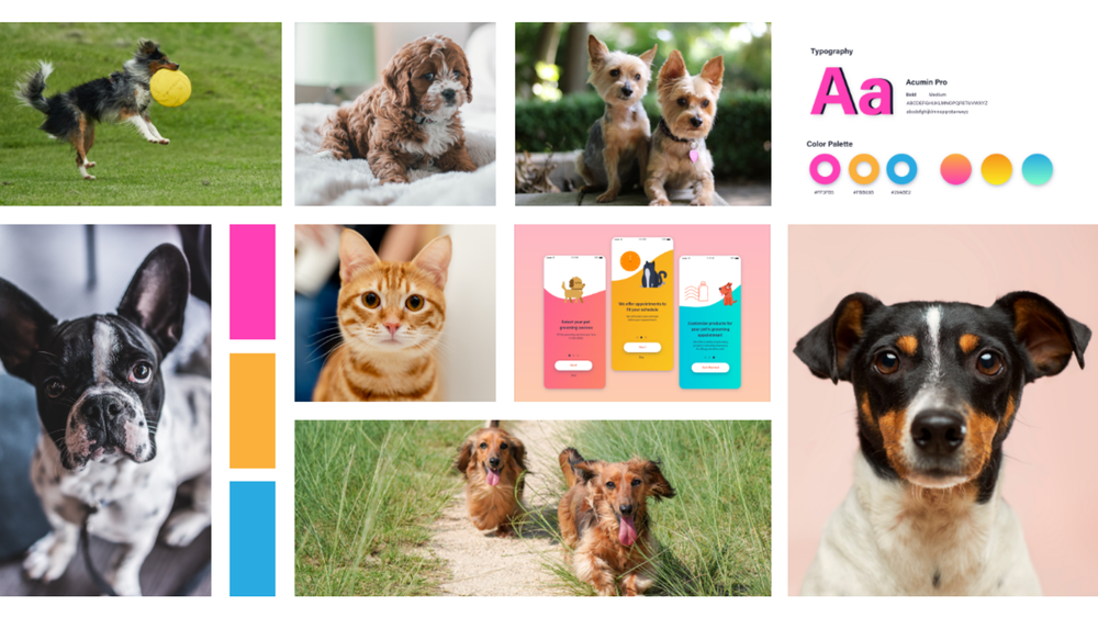 Animated Onboarding — Chris Olson Designs | Branding, Web Design, and ...