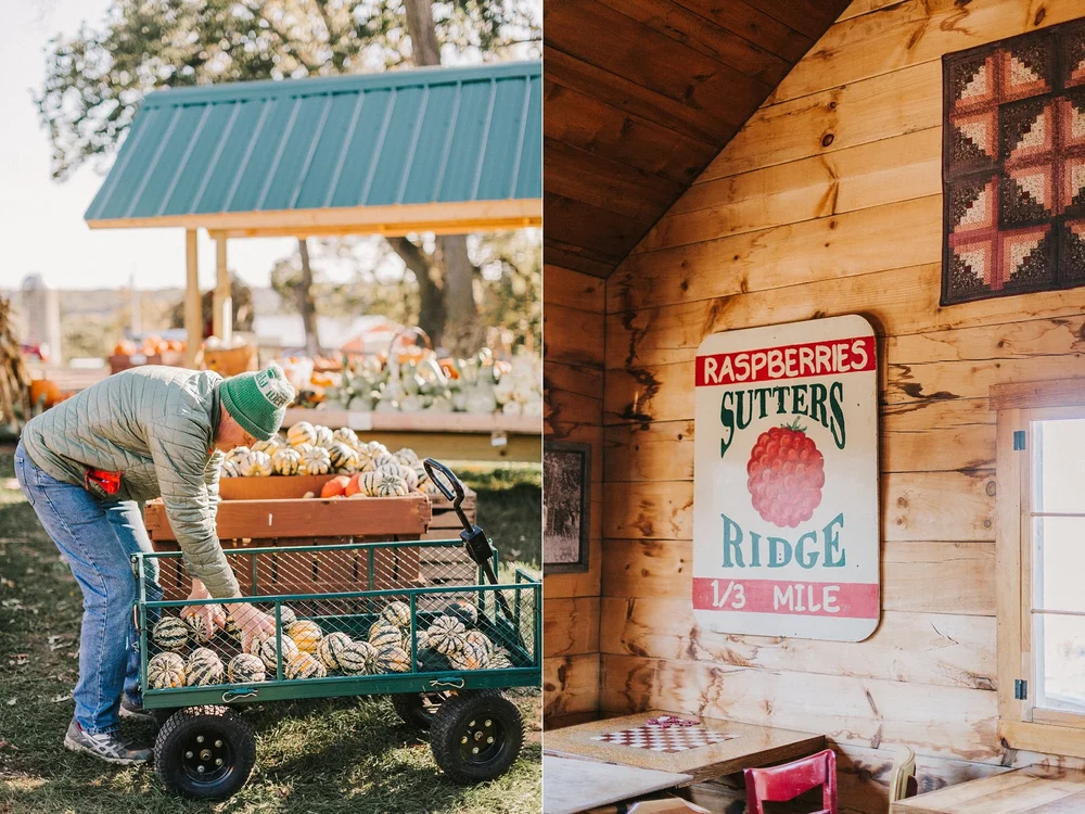 Plan Your Visit — Sutter's Ridge Apple Orchard, Pumpkin Patch & Corn ...