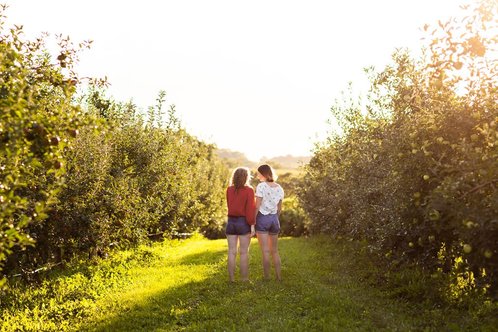 Sutter's Ridge Apple Orchard, Pumpkin Patch & Corn Maze near Madison WI