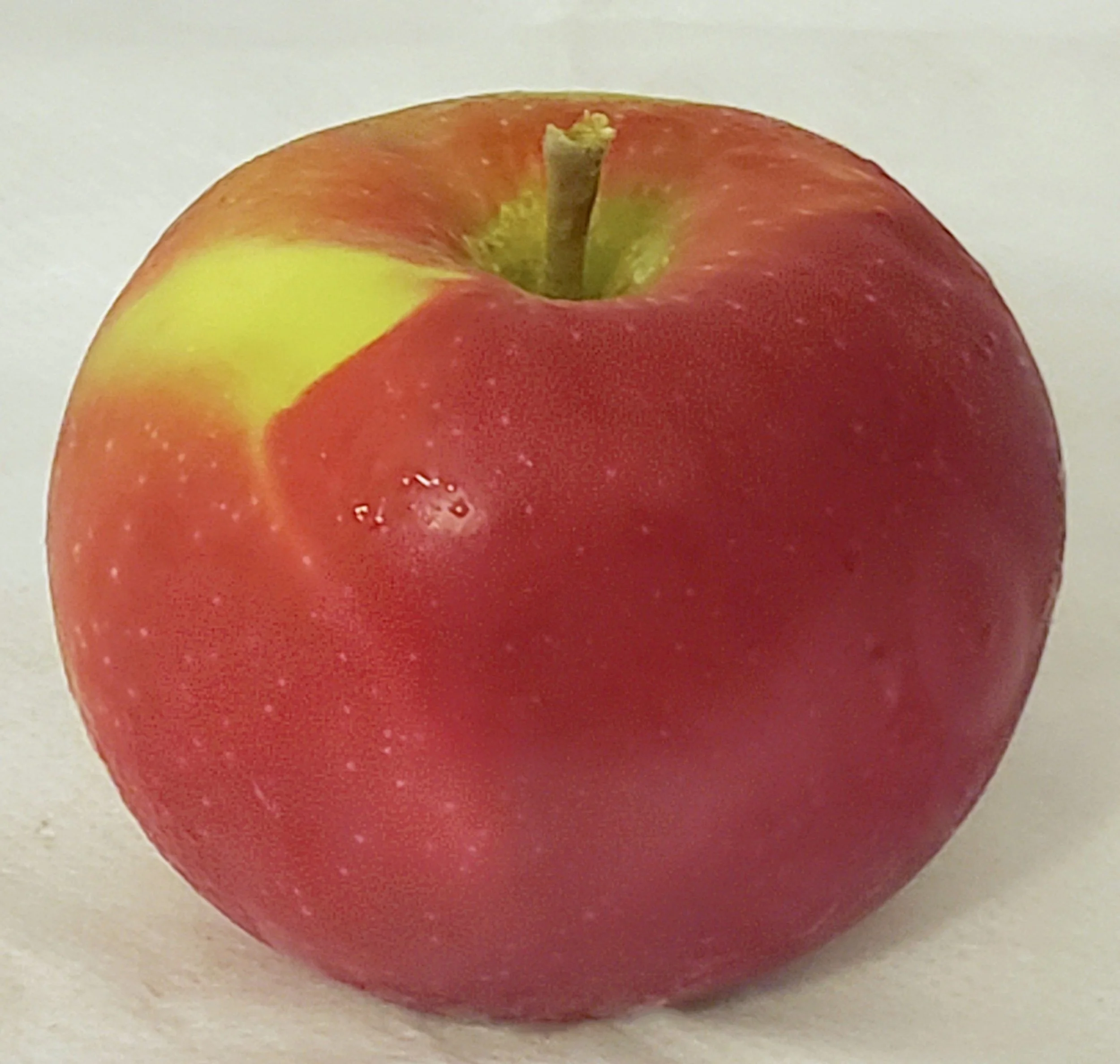 Apple Picking — Sutter's Ridge Apple Orchard, Pumpkin Patch & Corn Maze ...