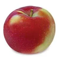 Apple Picking — Sutter's Ridge Apple Orchard, Pumpkin Patch & Corn Maze ...