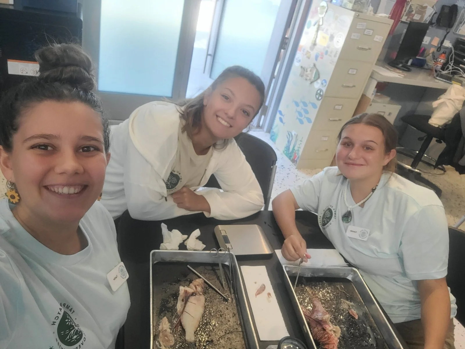 What Will You Learn as an Intern — Tampa Bay Watch Discovery Center