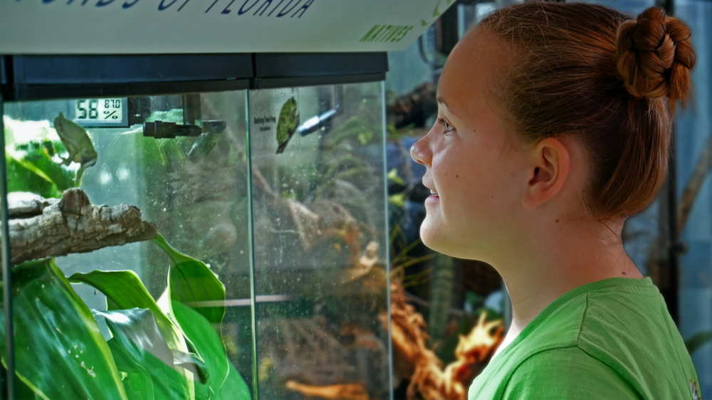 Marine Science Programs — Tampa Bay Watch Discovery Center