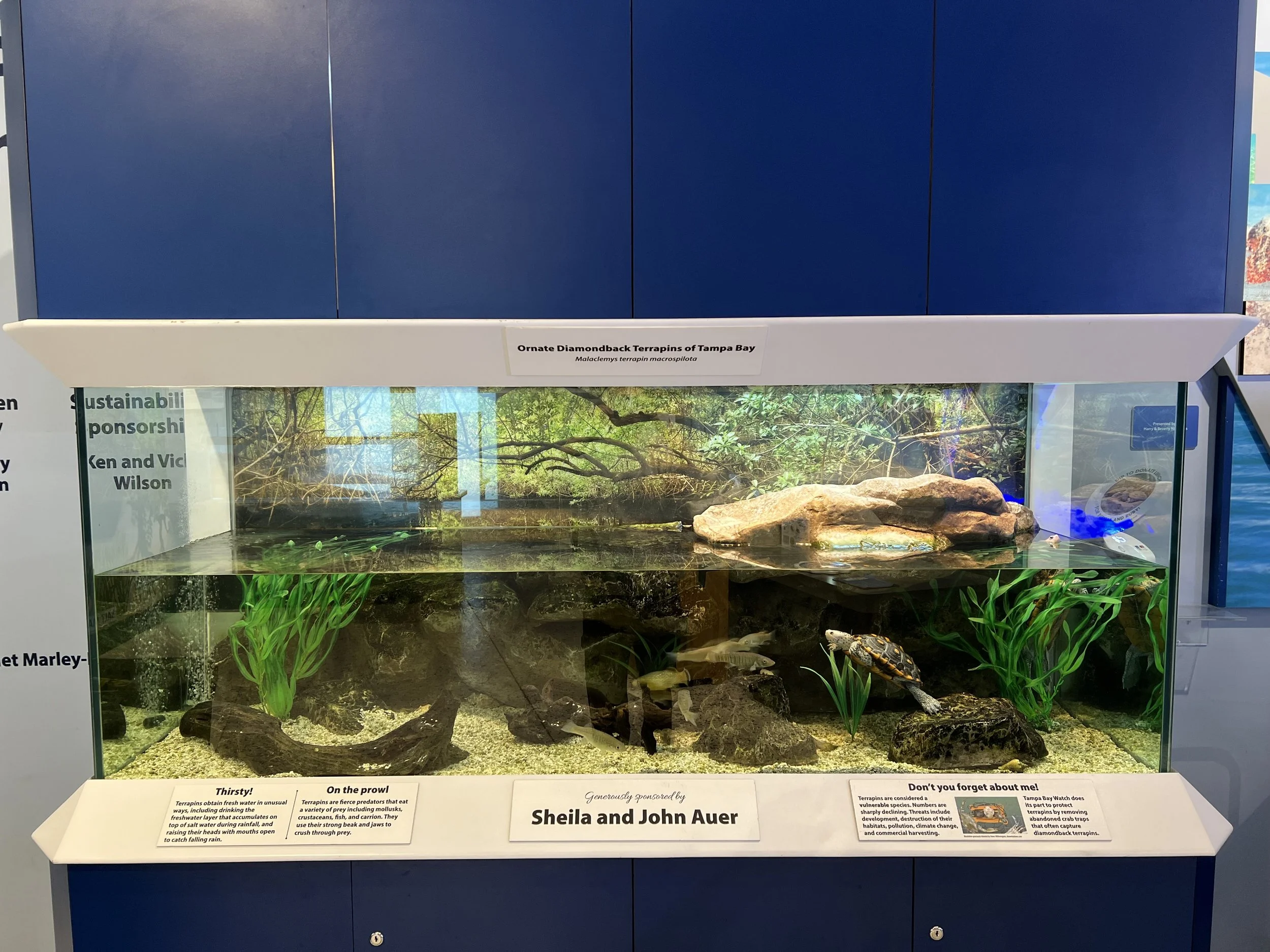 The importance of water quality, from aquariums to the open ocean ...