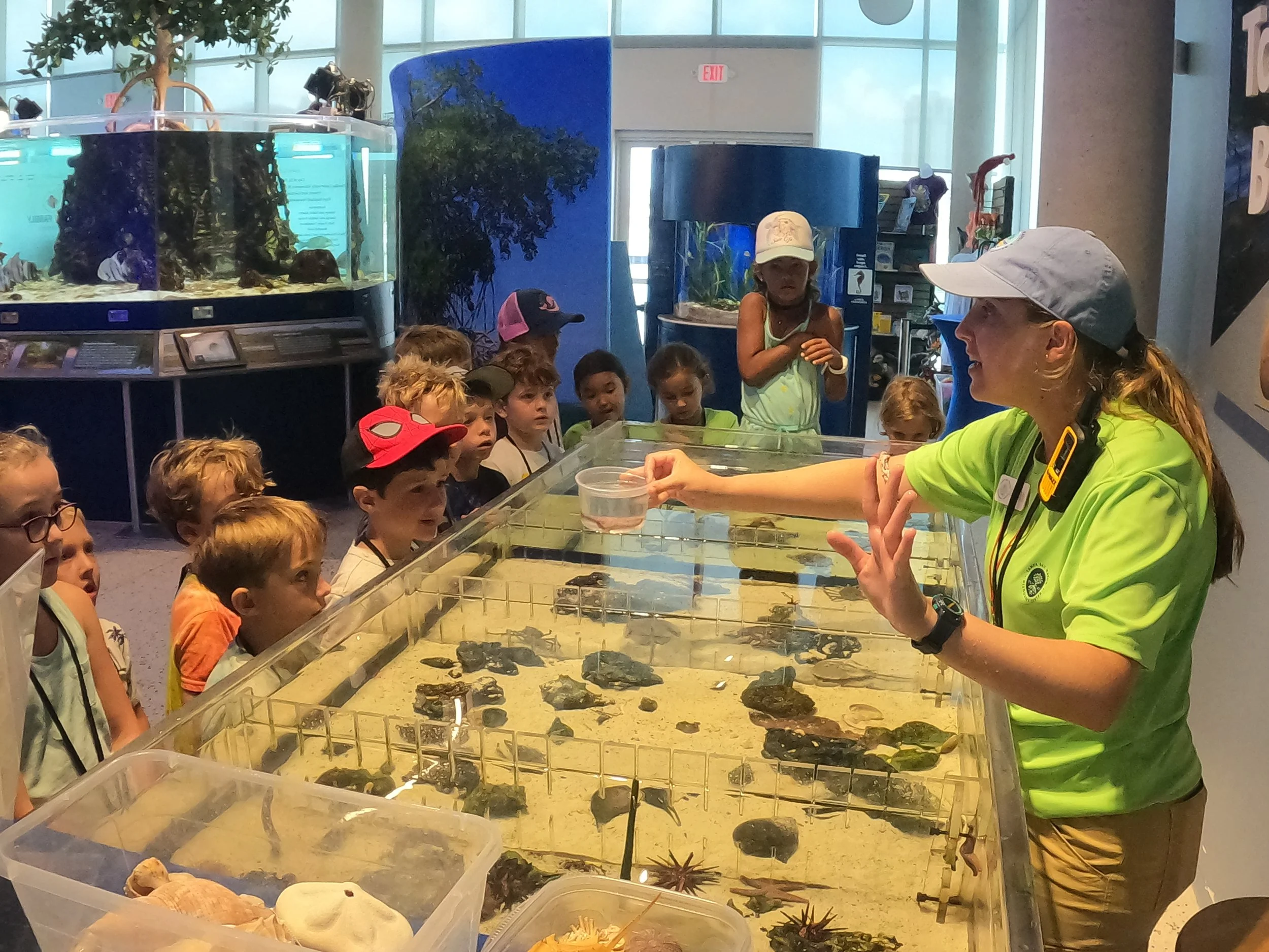 3 Years of Impact and Growth — Tampa Bay Watch Discovery Center