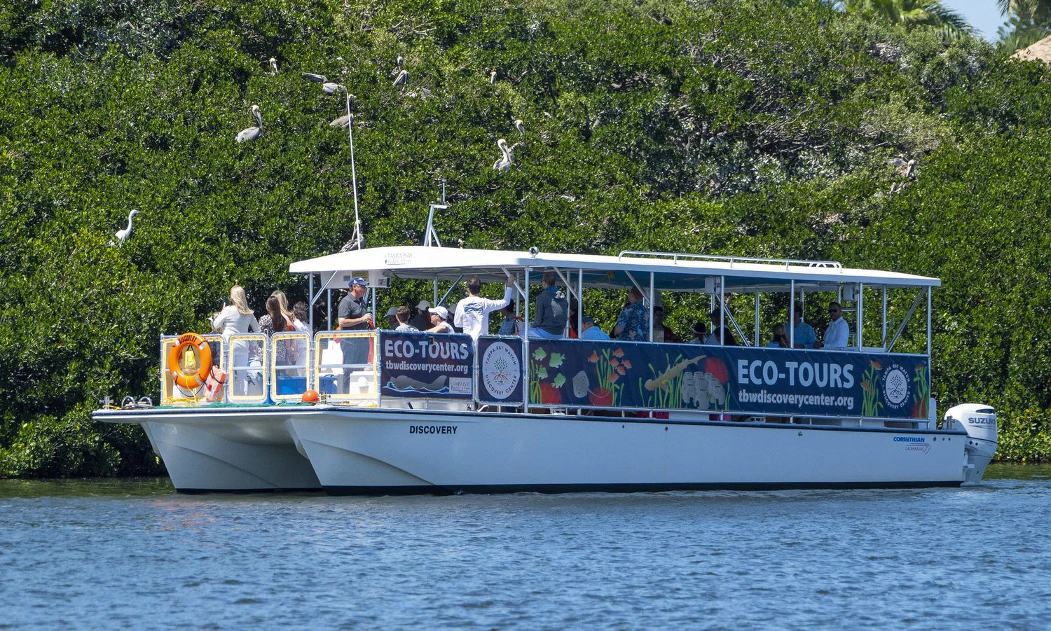 A Deep Dive Into Eco Tours! — Tampa Bay Watch Discovery Center