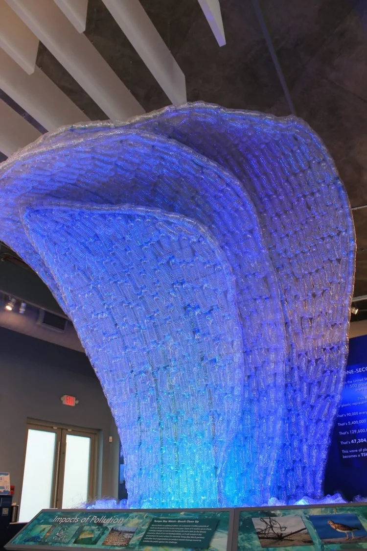 Exhibit Gallery — Tampa Bay Watch Discovery Center