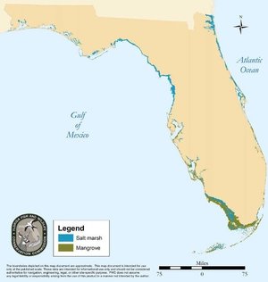 Magnificent Mangroves: How Mangroves Protect Our Coasts — Tampa Bay ...