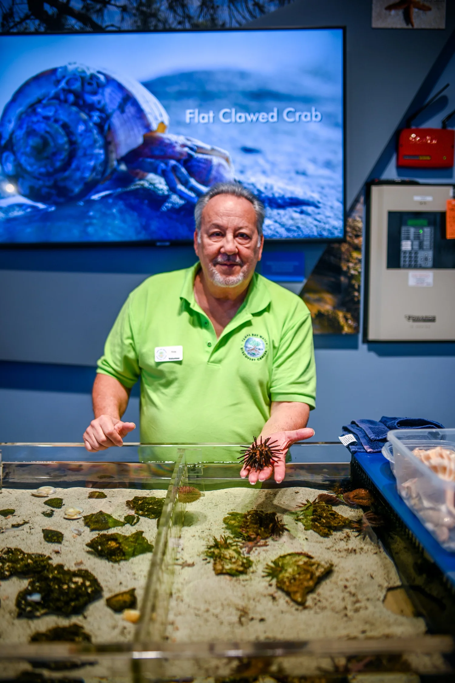 Volunteer Spotlight: Gus Larussa — Tampa Bay Watch Discovery Center
