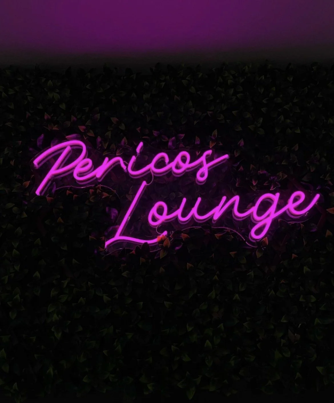 Menu — Perico's Lounge