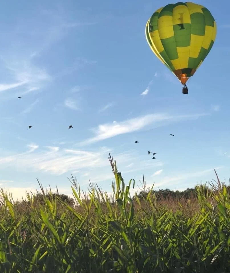 Hot Air Ohio - Balloon Rides