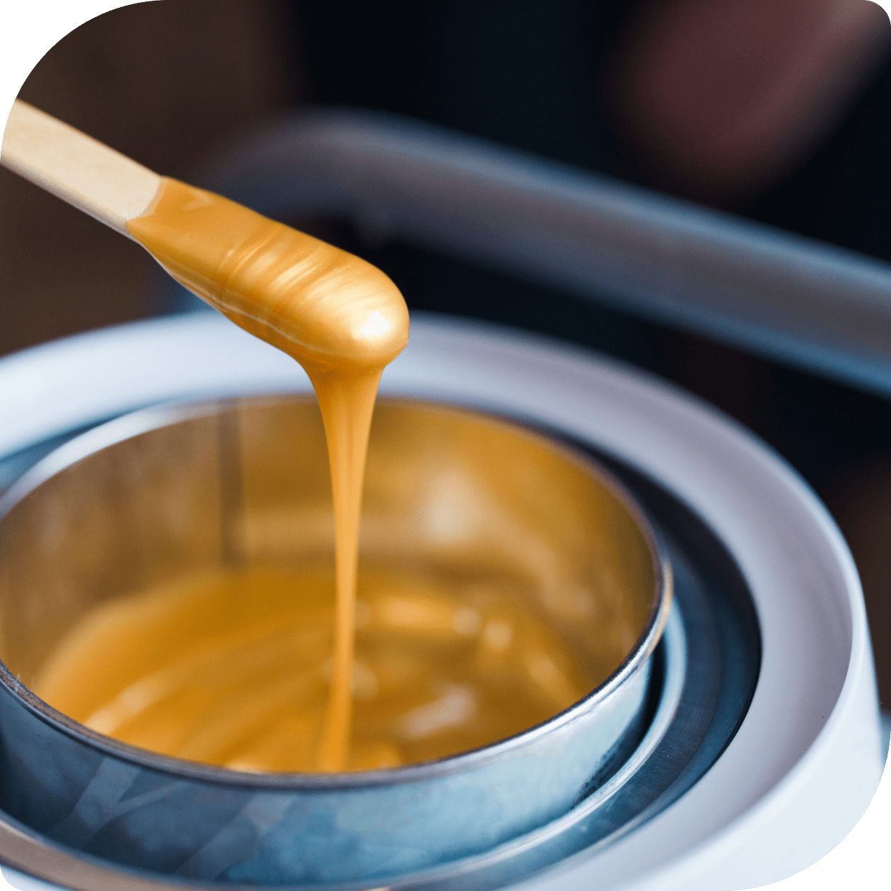Waxology Studio