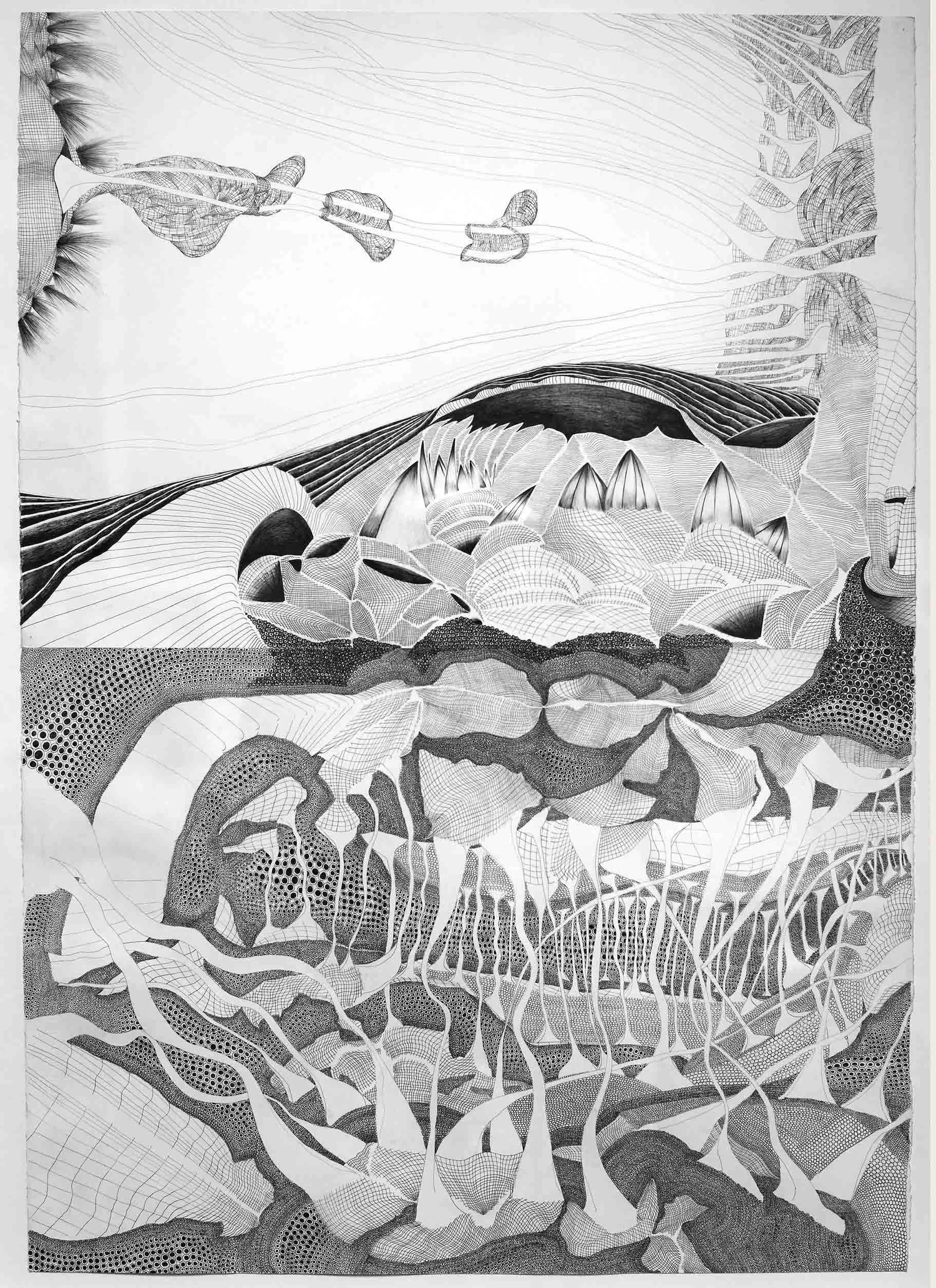 Ron Adams / MAKING A MOULD FOR A MOUNTAIN — DRAW Space