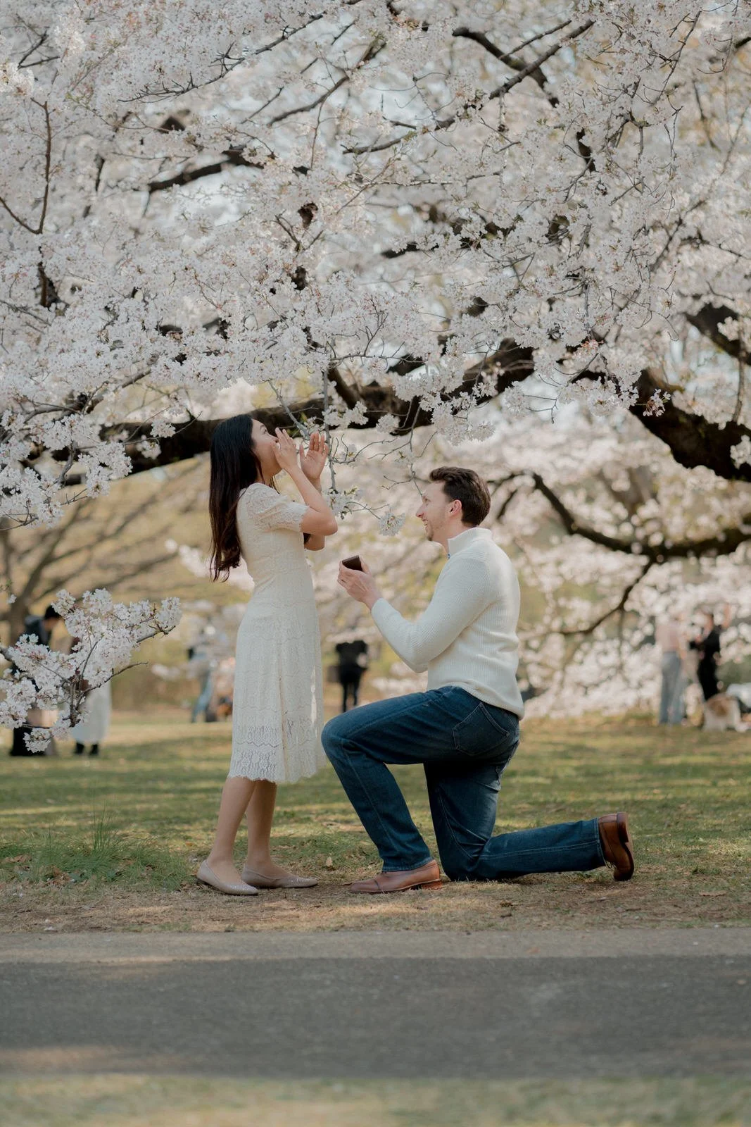 Proposal Photographer in Tokyo | Surprise Engagement Photoshoots ...