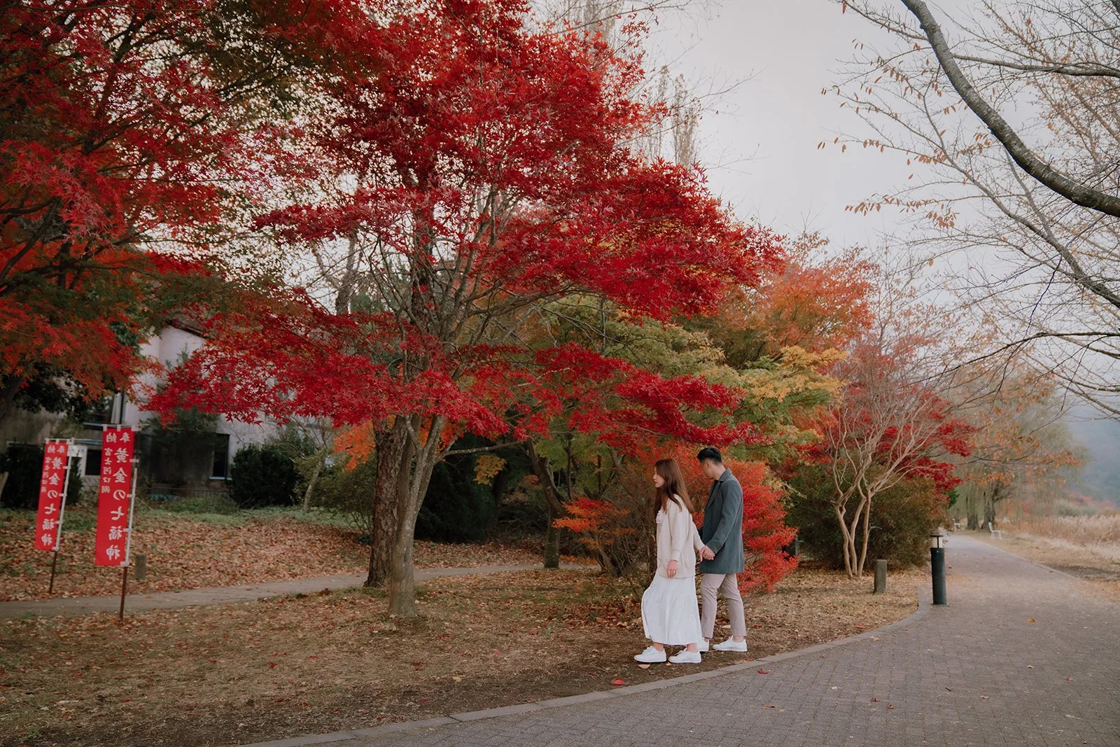 Proposal in Kawaguchiko — Photo My tokyo