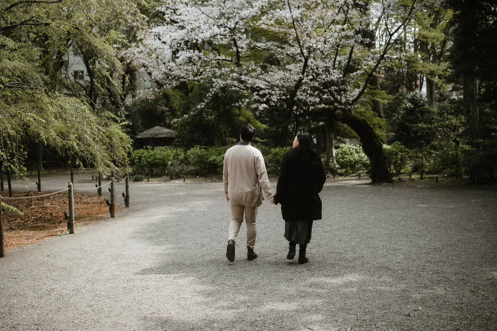 Vitor — Photo My tokyo