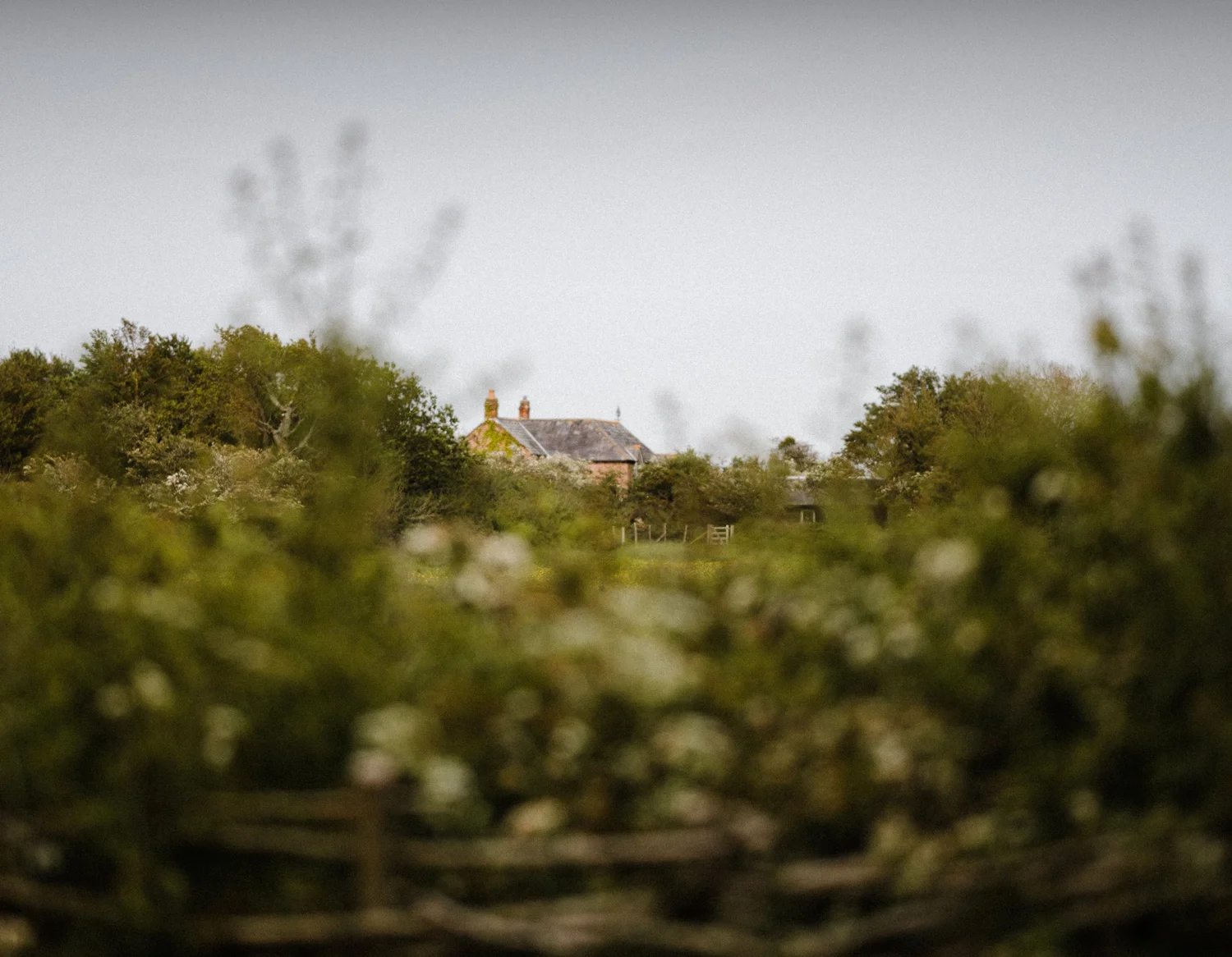 The Rowen Partnership