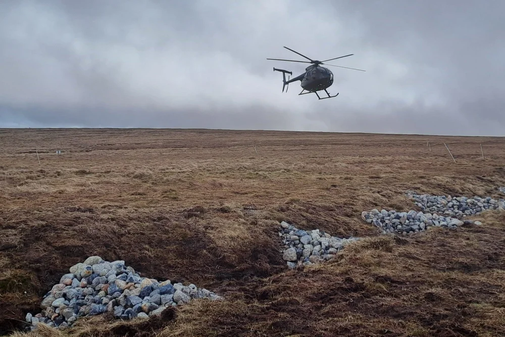 Great Gnats Head in photos — South West Peatland Partnership