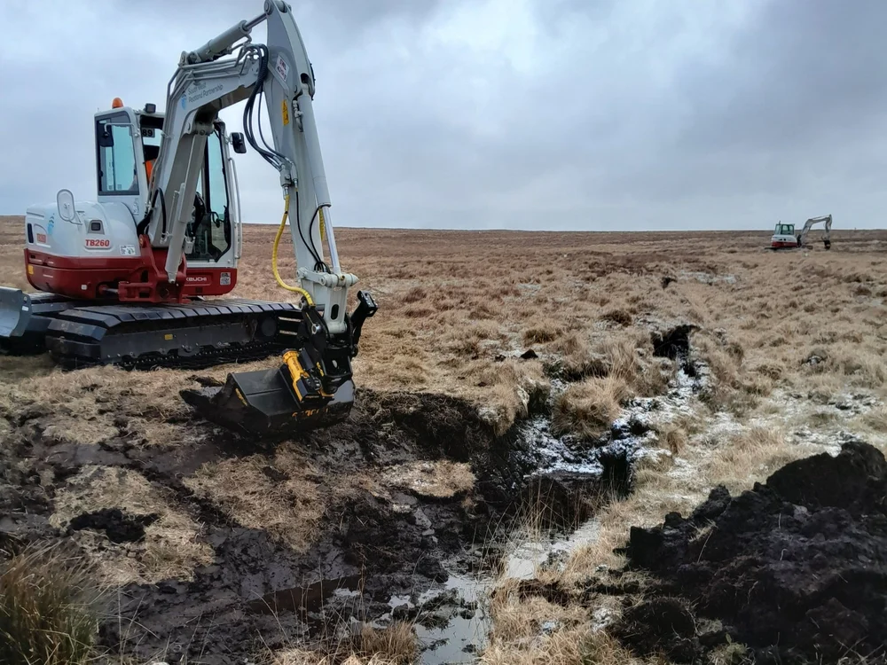 Great Gnats Head in photos — South West Peatland Partnership