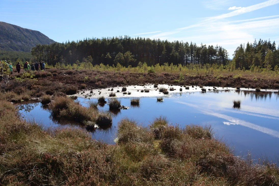 SWPP @ the IUCN Peatland Conference — South West Peatland Partnership