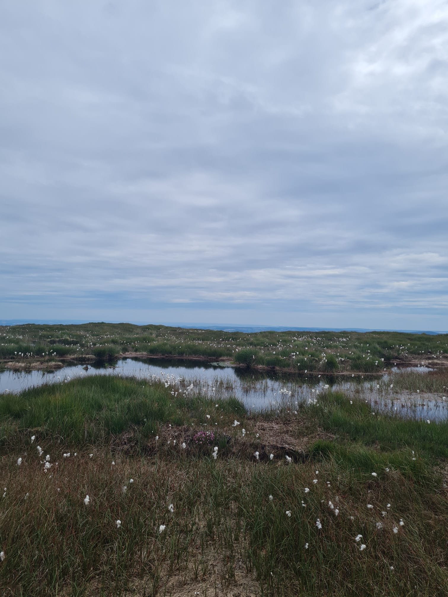 Why peatlands — South West Peatland Partnership