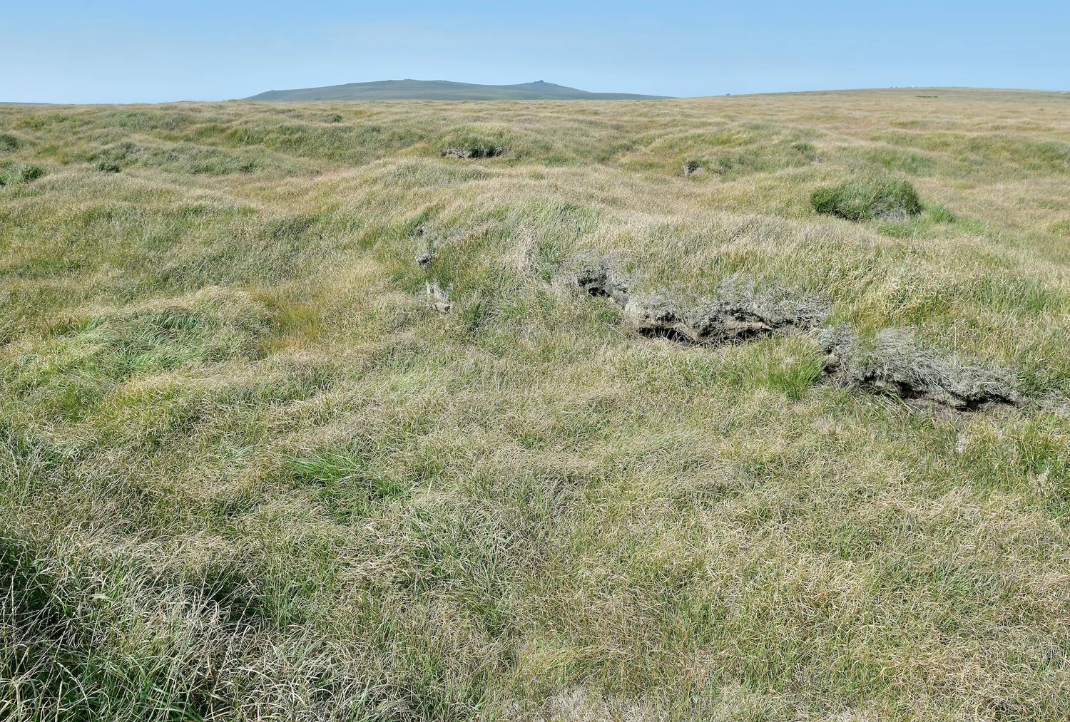 Peatland restoration works at Cranmere Pool — South West Peatland ...