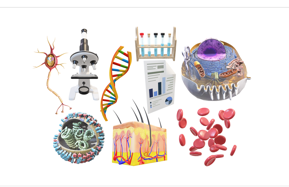 Research Biomedical Engineering At Utsw