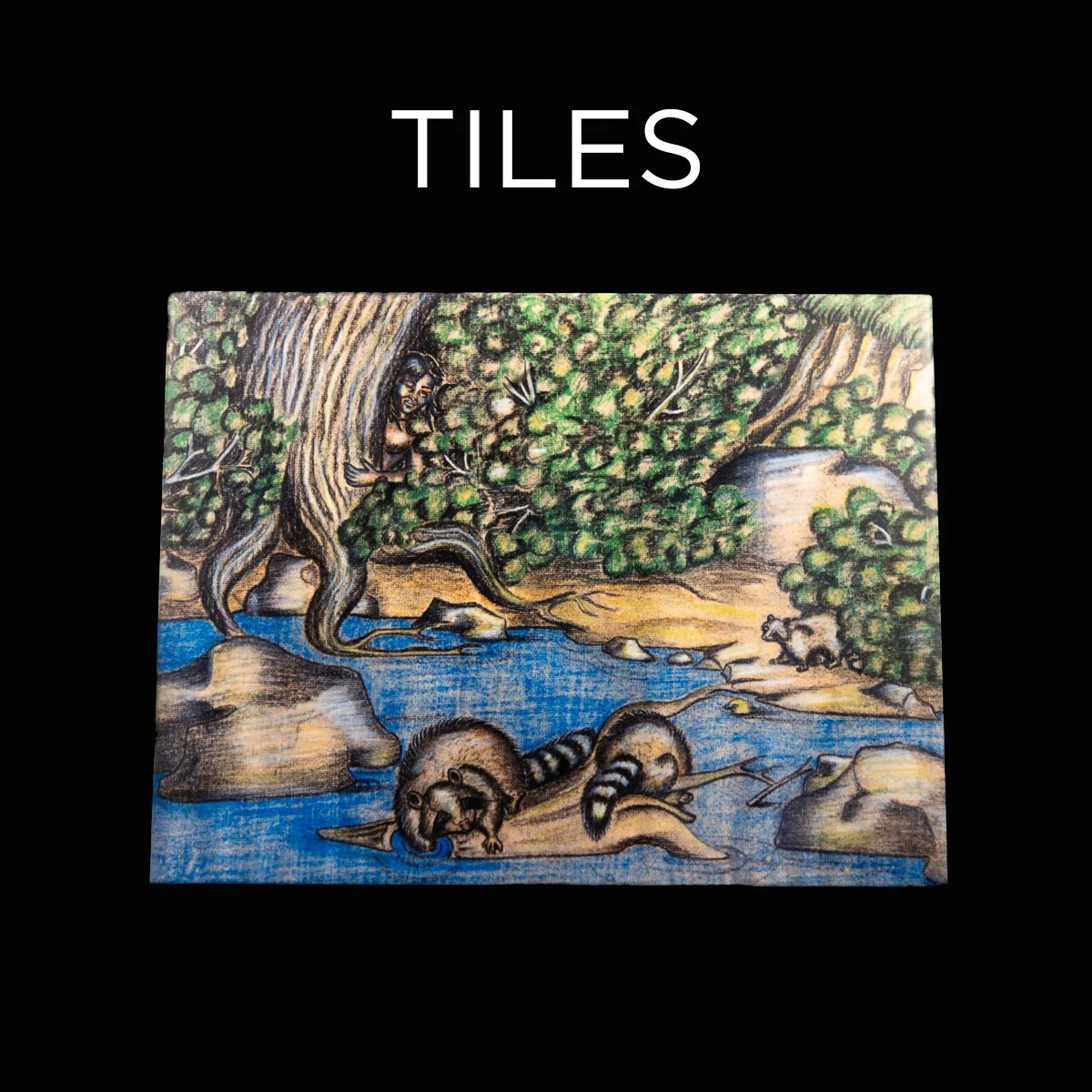 Tiles — Gift Shop — Willard Stone Museum