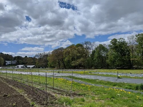 About — The Neighborhood Farm