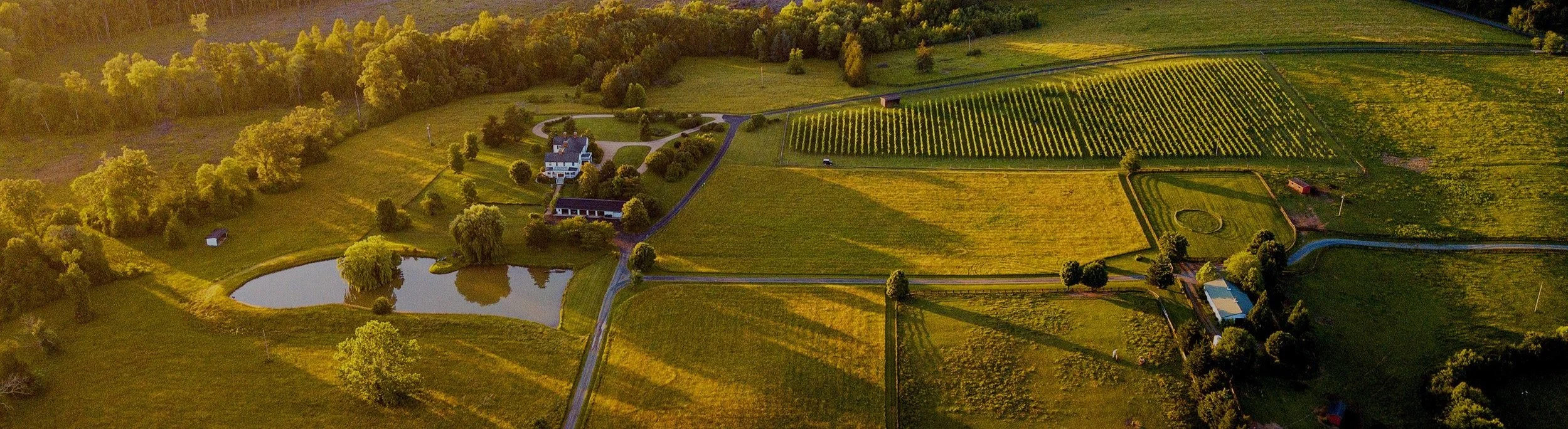 WHITEHALL FARM + VINEYARD