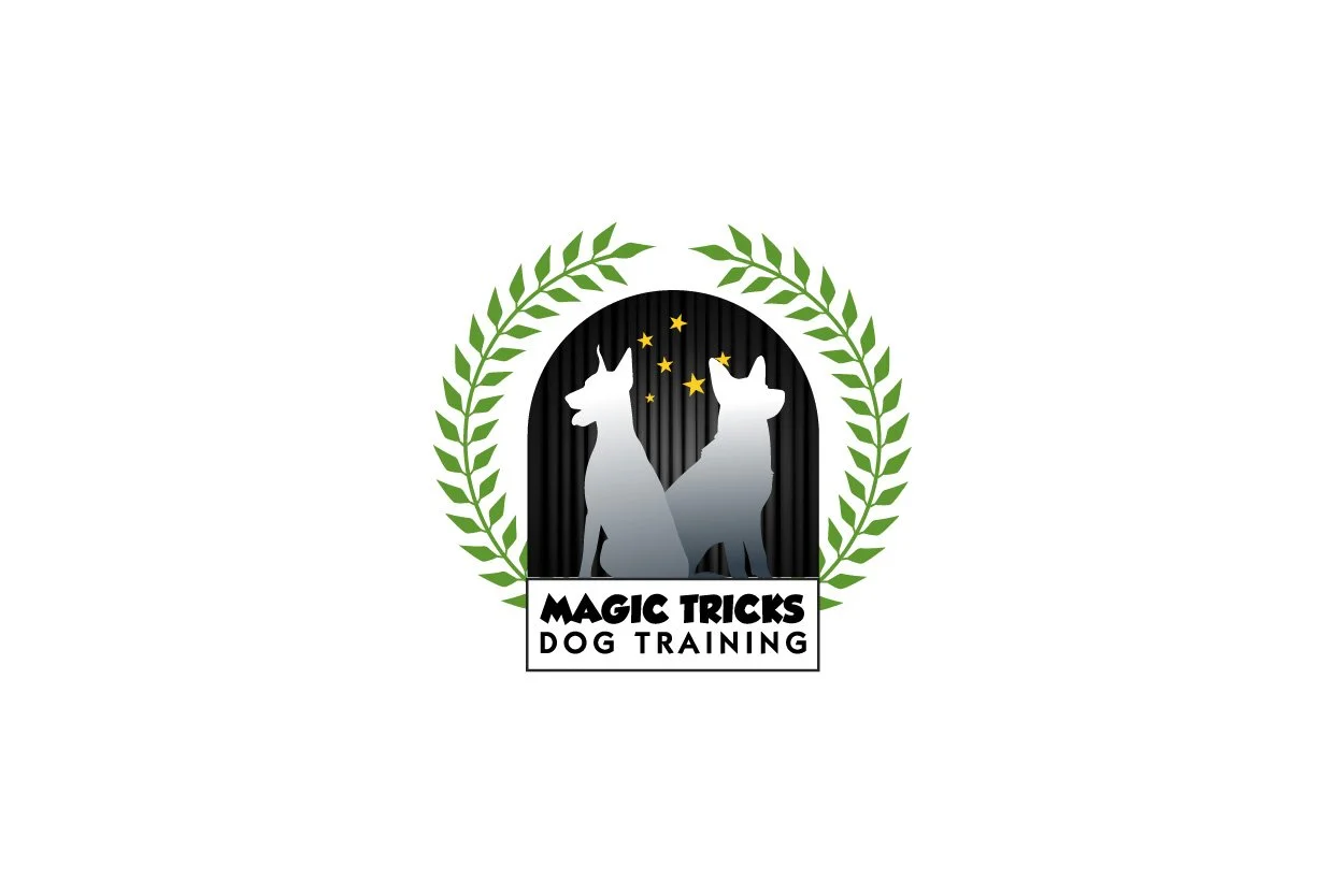 Magic Tricks Dog Training