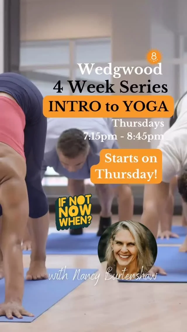 North Seattle Yoga Studios | 8 Limbs Yoga Centers