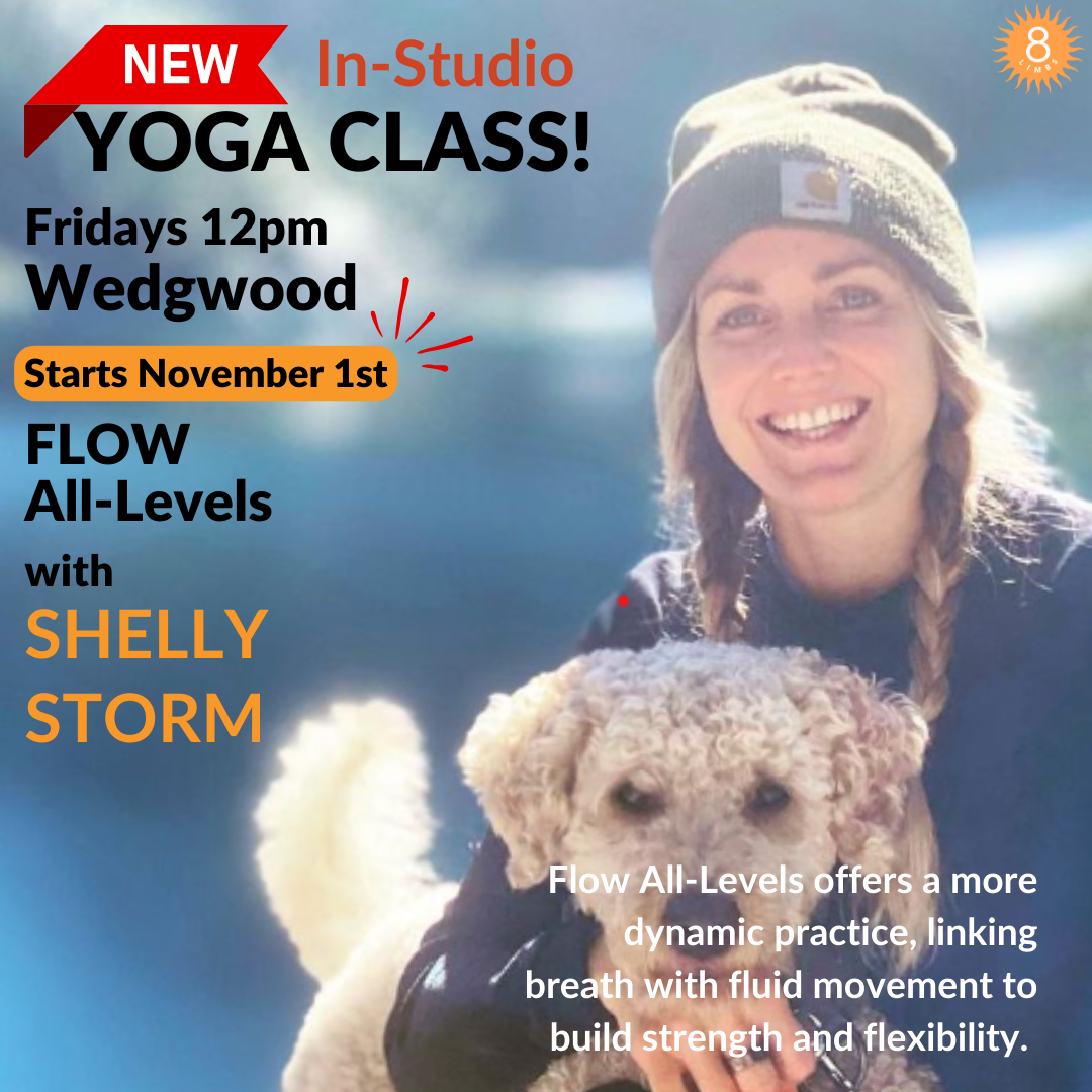 North Seattle Yoga Studios | 8 Limbs Yoga Centers