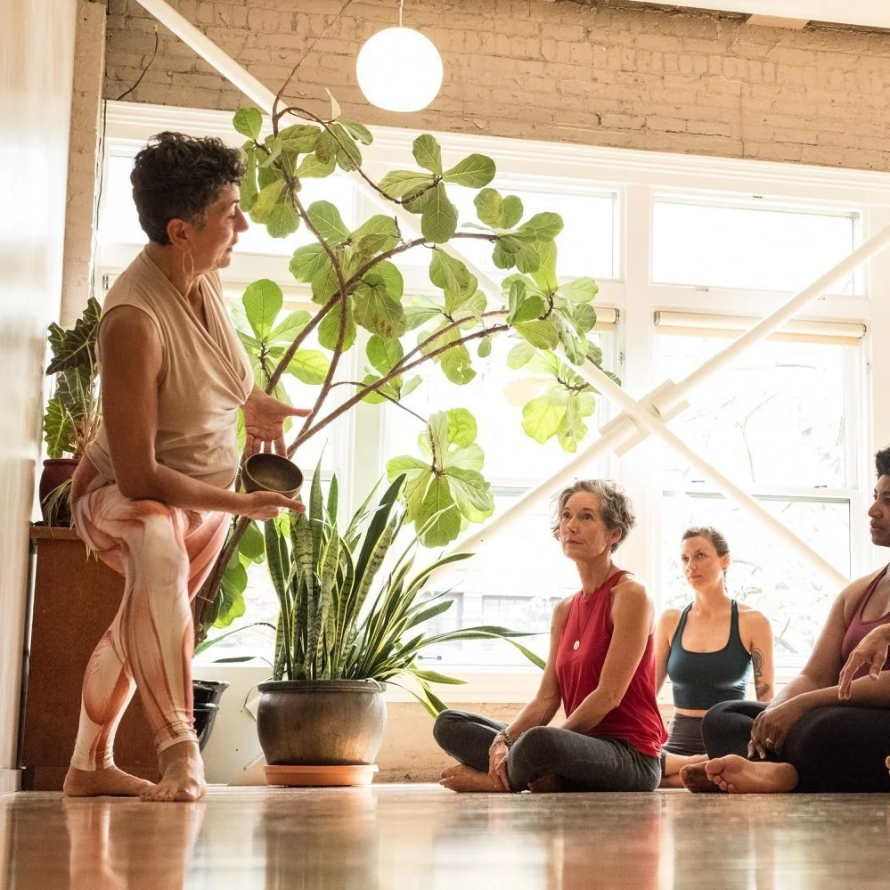 North Seattle Yoga Studios | 8 Limbs Yoga Centers