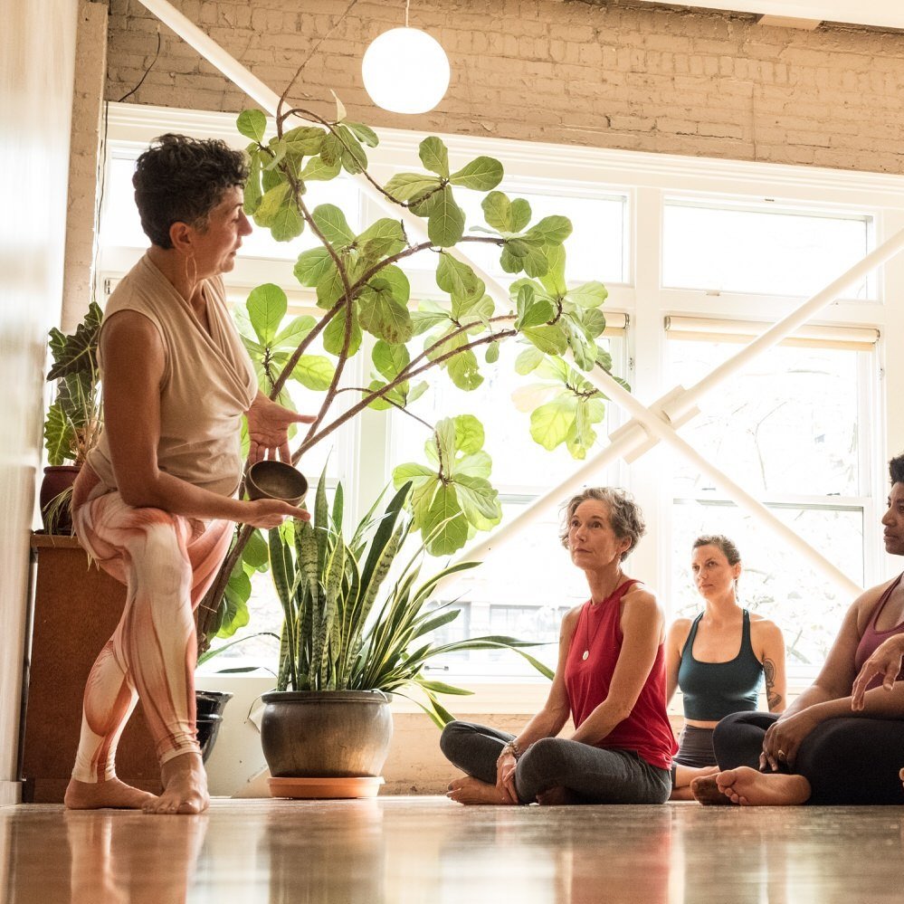 North Seattle Yoga Studios | 8 Limbs Yoga Centers