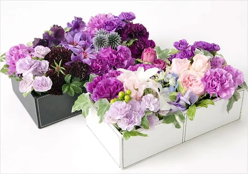 For Trade — Florigene Flowers