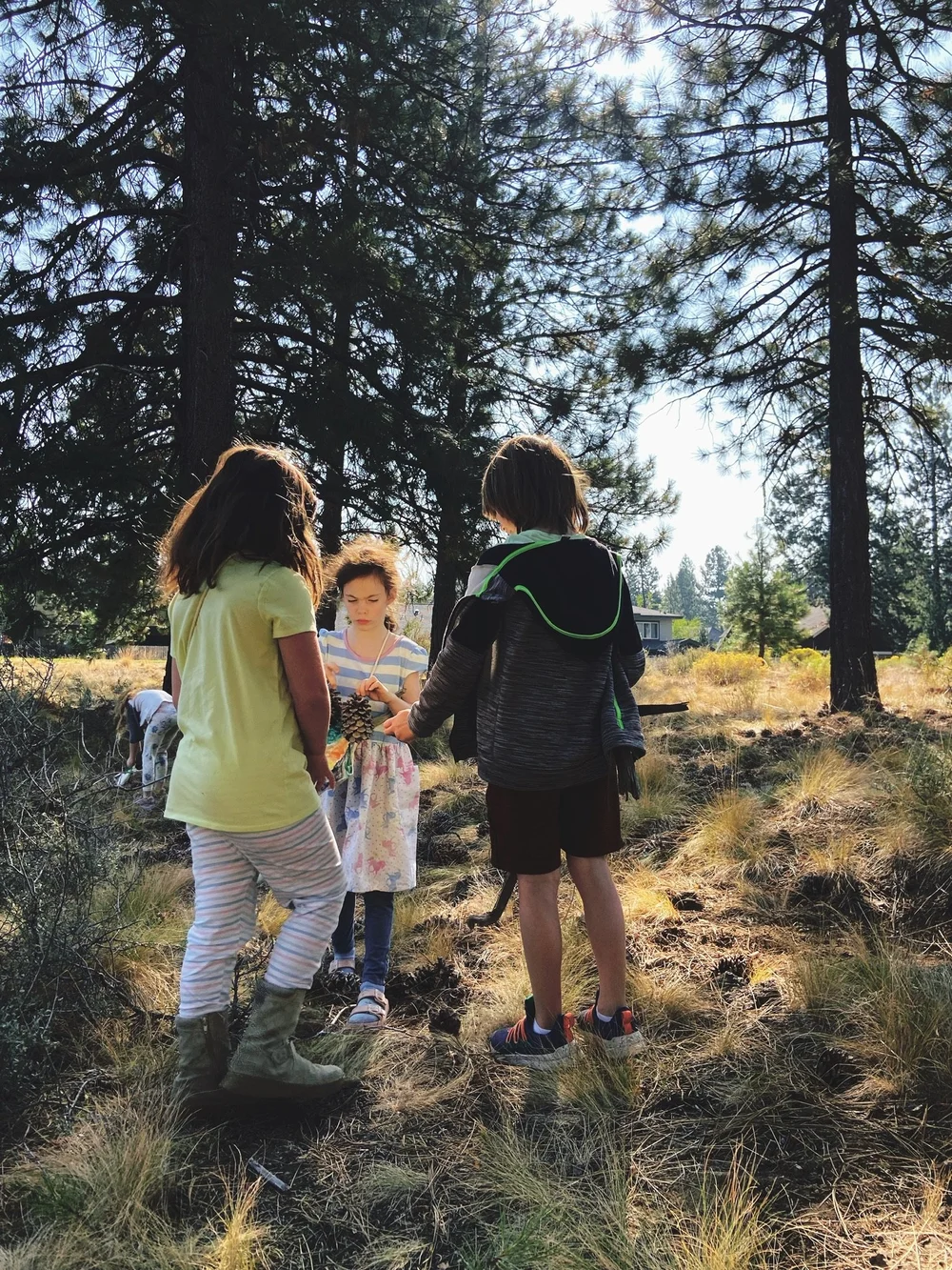 Wondery Art & Adventure School | Art Classes in Bend, Oregon