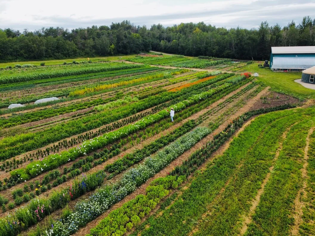 Fern's Flowers Garden