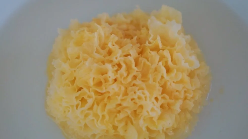 Chilled Snow Fungus Soup — In Search of Lost Flavors