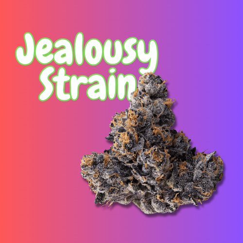 Jealousy Strain: A Complete Guide — Project Releaf