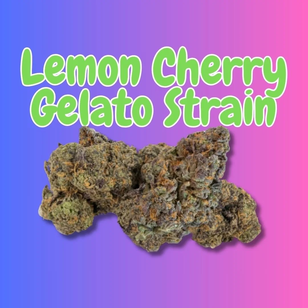 Lemon Cherry Gelato Strain: A Complete Guide — Project Releaf