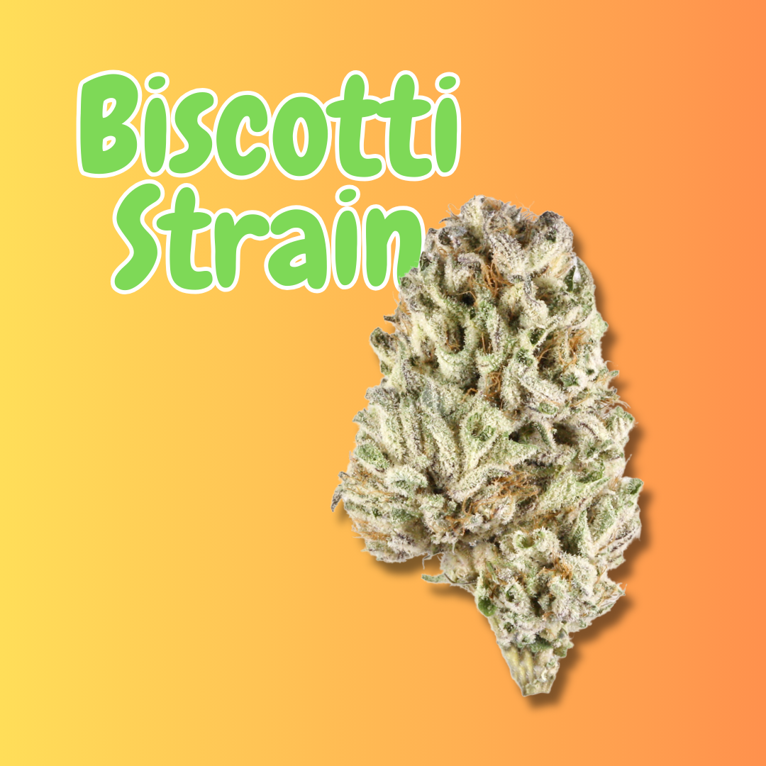 Biscotti Strain: A Comprehensive Guide — Project Releaf